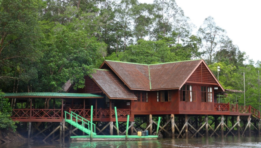 Let’s Wander where the WiFi is weak: Sepilok Trail – Gretchen Coffman