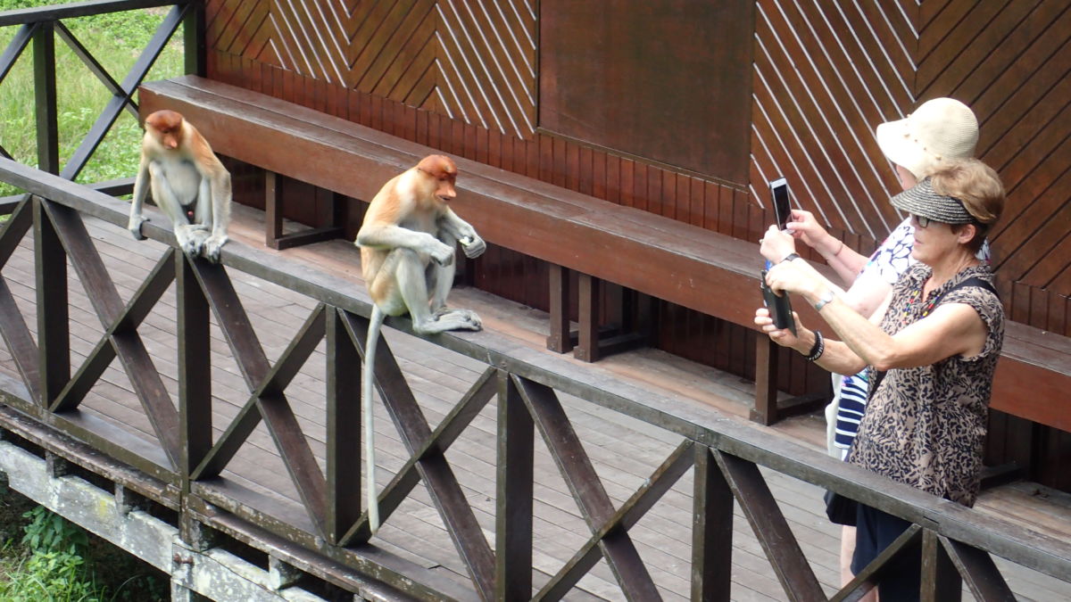 Problems for Proboscis! – Gretchen Coffman